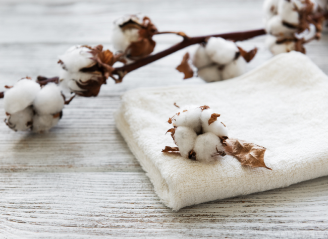 Fresh Oshibori by Cotton Pure Towel - Cotton Pure Towel - Fresh Oshibori